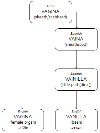 ELI5: How did vanilla become synonymous with "plain"? : r/explainlikeimfive